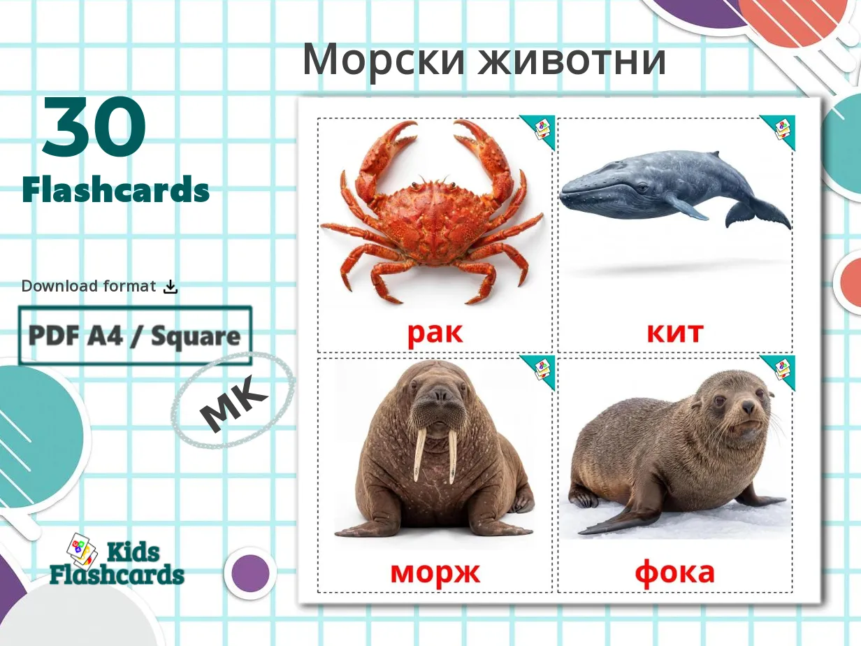 30 Printable Sea animals Flashcards in Macedonian (Free PDF)