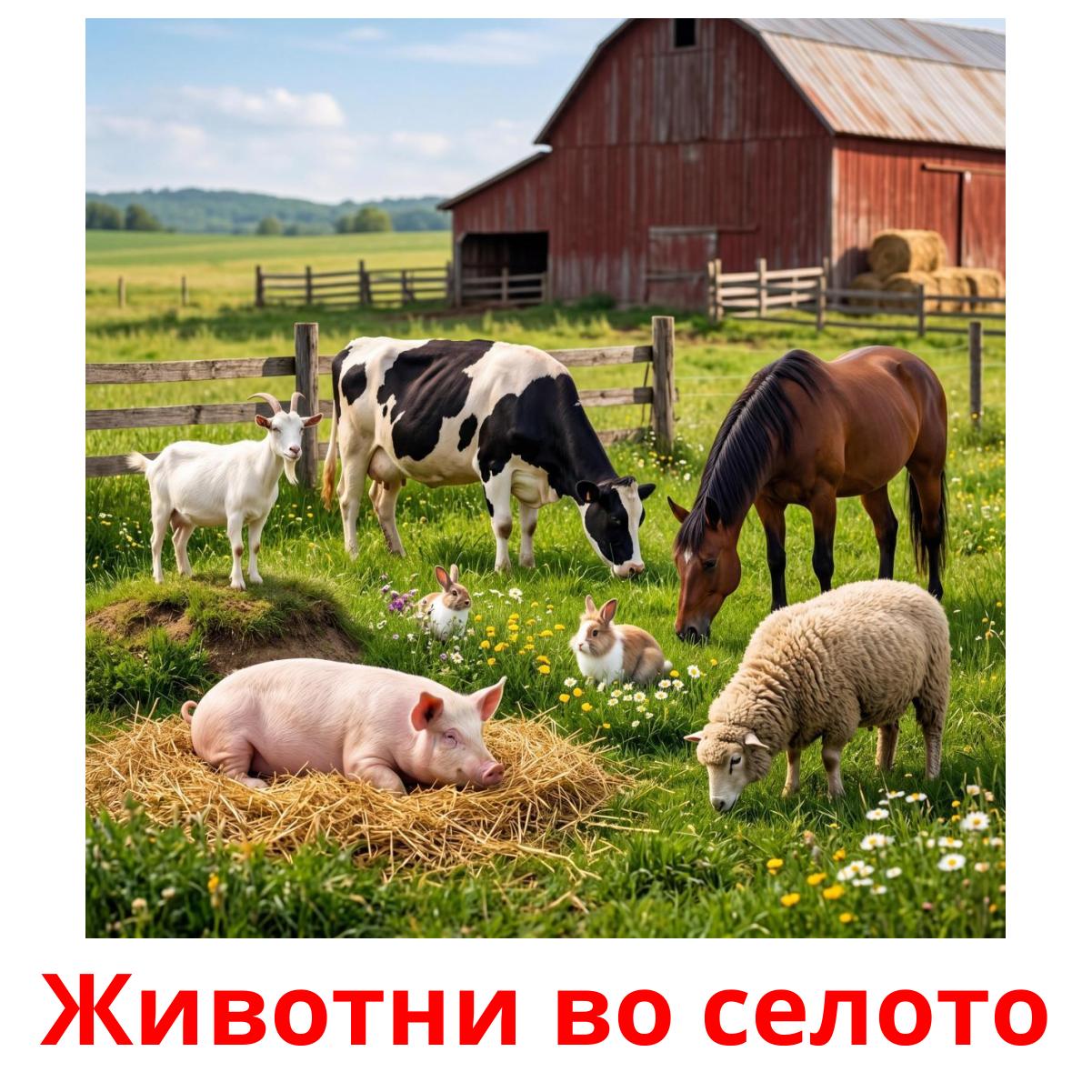 16 Printable Farm animals Flashcards in Macedonian (Free PDF)