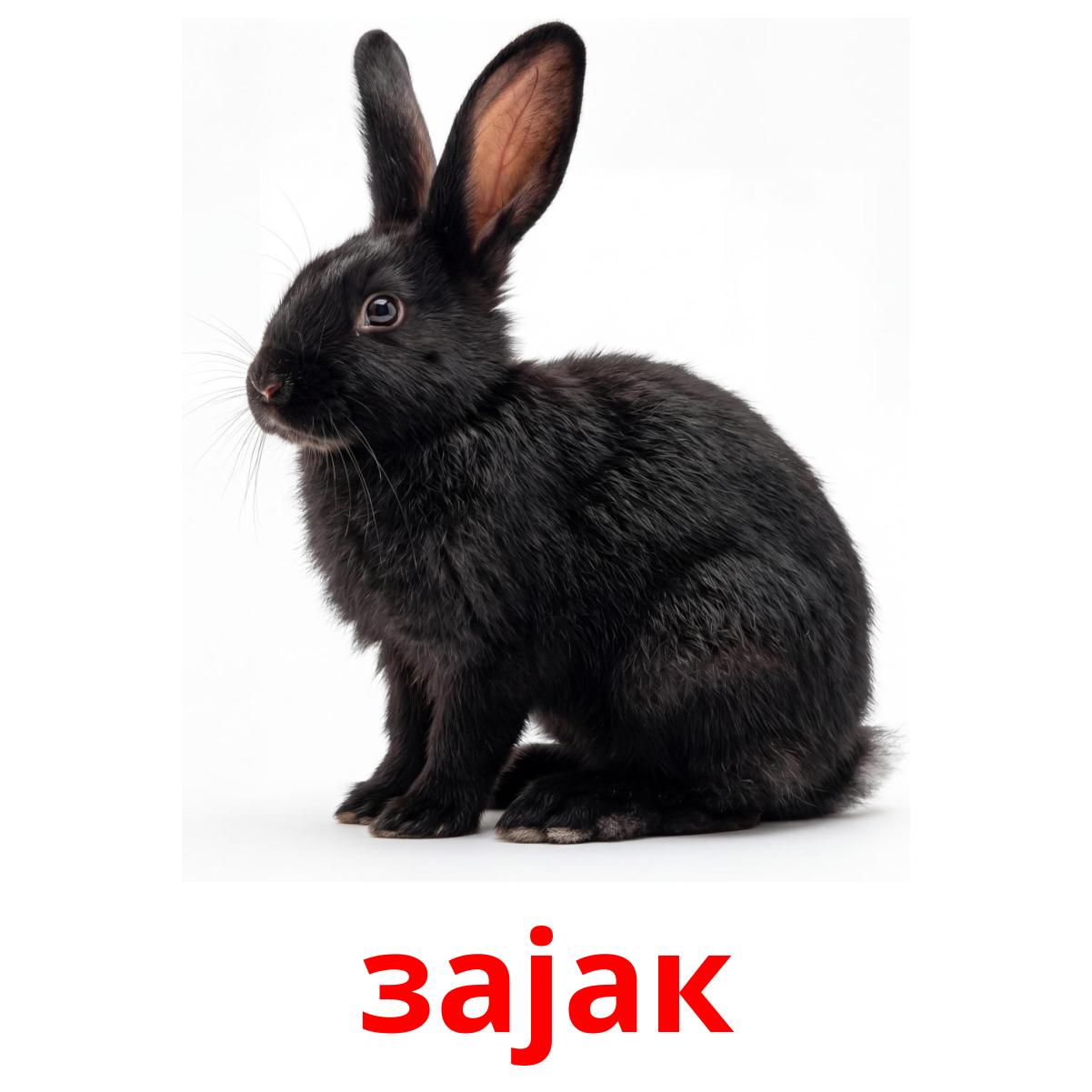 16 Printable Farm animals Flashcards in Macedonian (Free PDF)