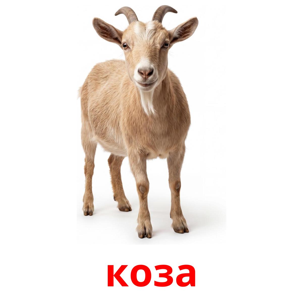 16 Printable Farm animals Flashcards in Macedonian (Free PDF)