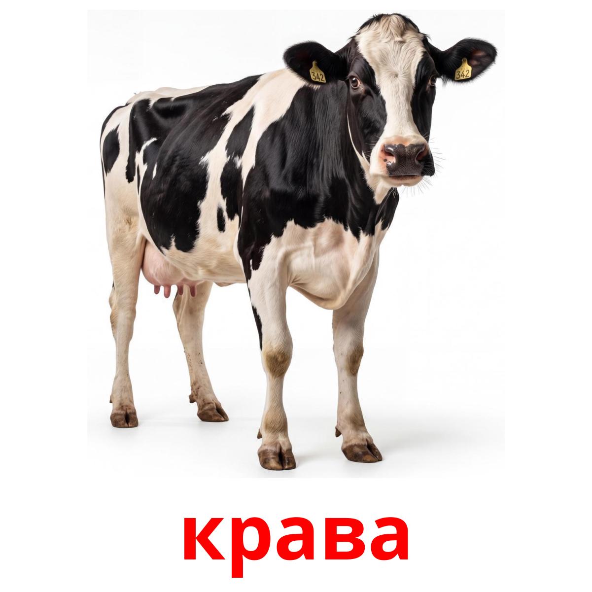 15 FREE Farm animals Flashcards in 4 PDF formats | Macedonian Pictures
