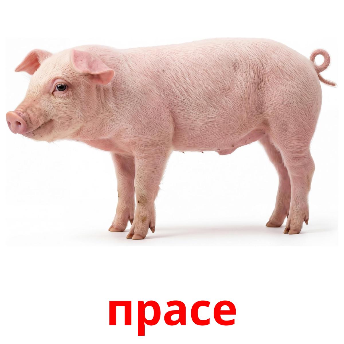 16 Printable Farm animals Flashcards in Macedonian (Free PDF)