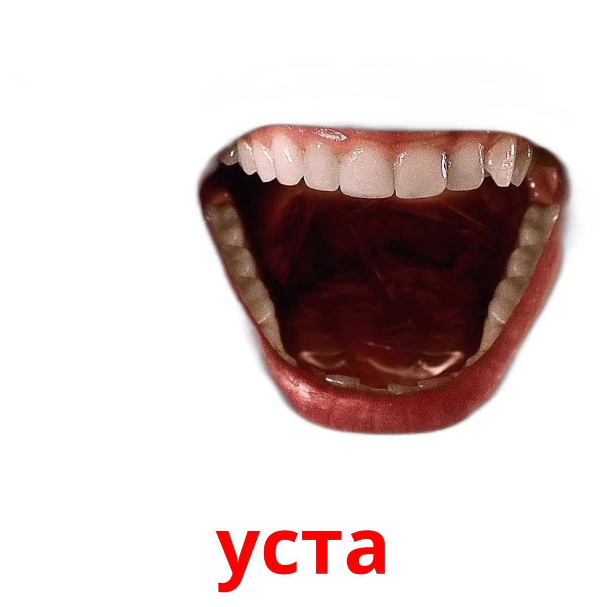 20 Face Flashcards in PDF | Macedonian Pictures