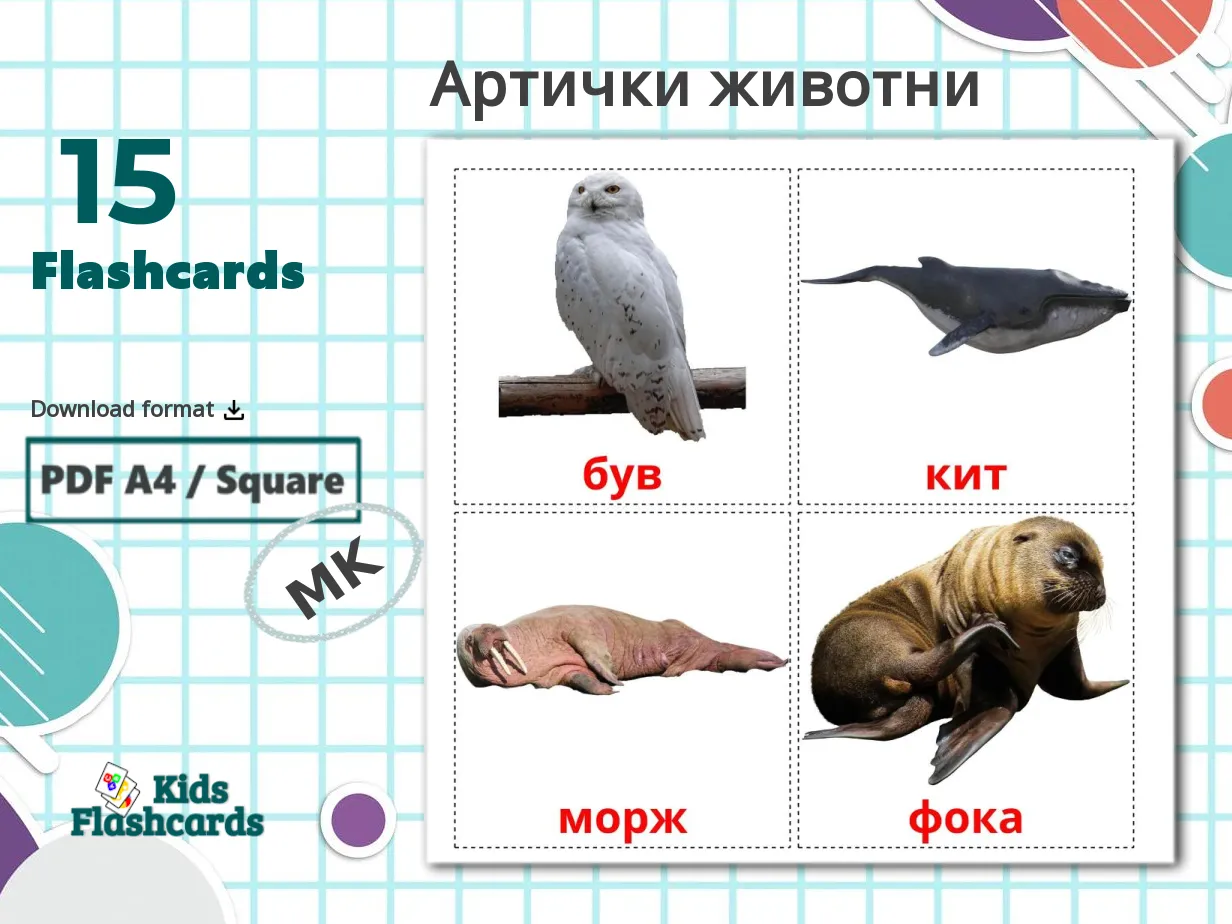 15 Printable Arctic animals Flashcards in Macedonian (Free PDF)