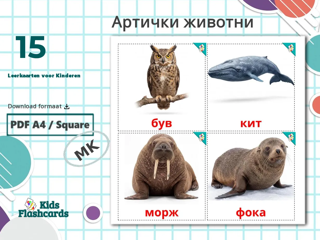 15 GRATIS Arctische dieren Leerkaarten voor Kinderen in 4 PDF formaten ...