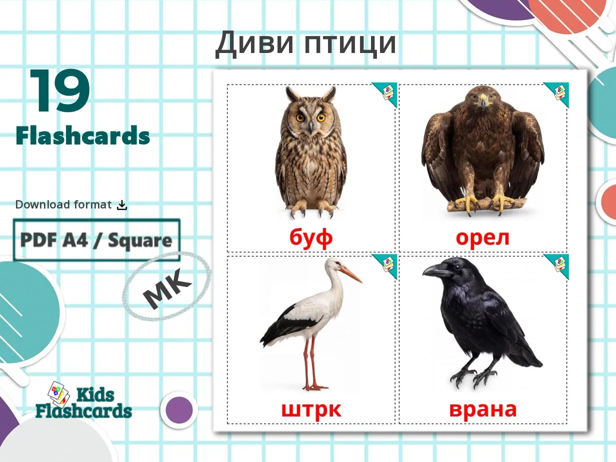 19 Printable Wild birds Flashcards in Macedonian (Free PDF)