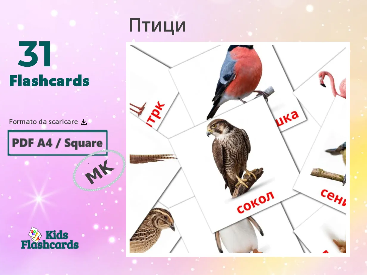31 Flashcard GRATUITE sugli Uccelli in Macedone | 4 PDF Stampabili