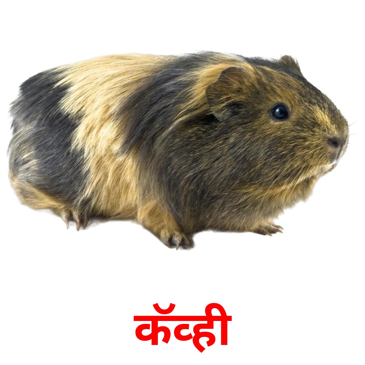 11 Printable Domestic animals Flashcards in Marathi (Free PDF)