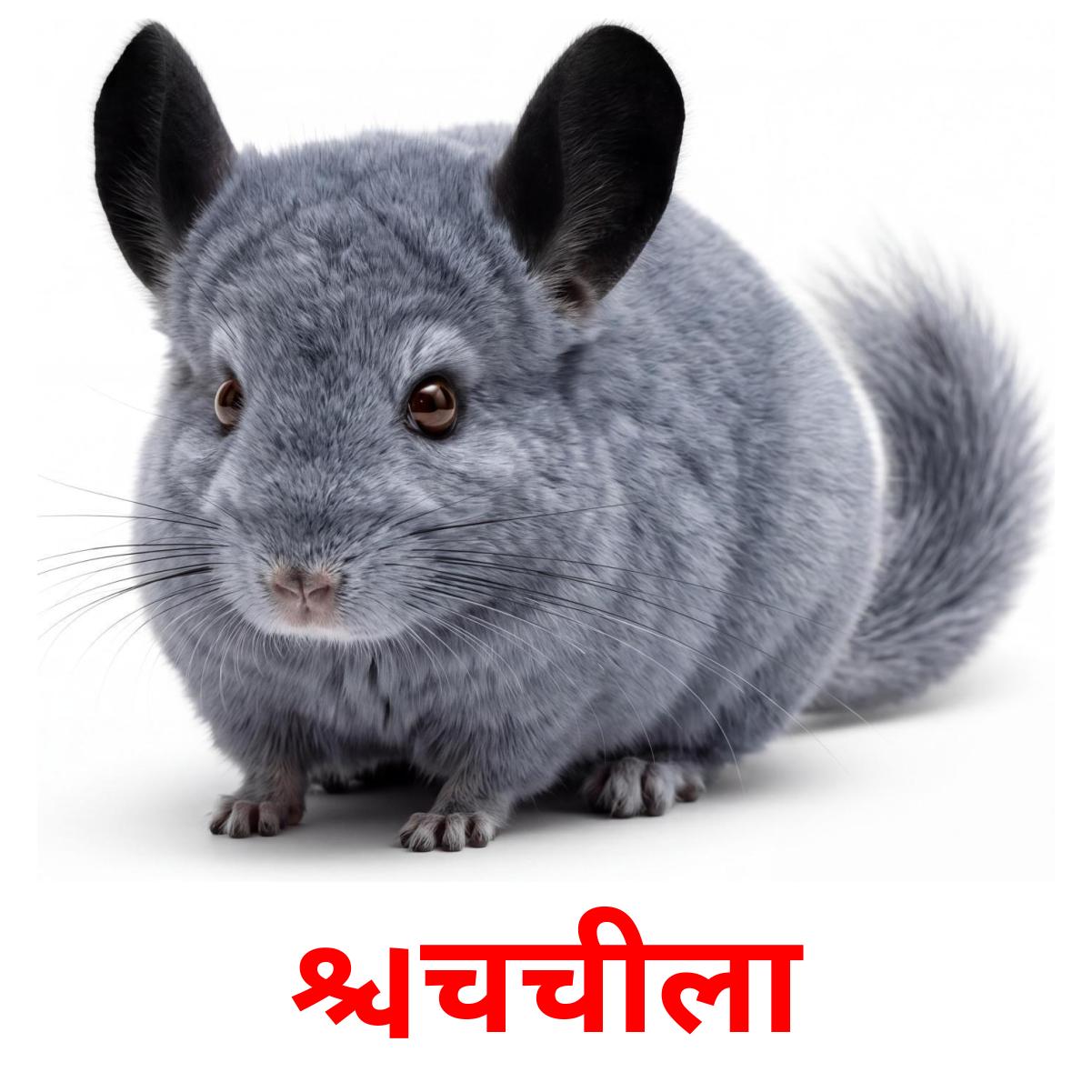 11 Printable Domestic animals Flashcards in Marathi (Free PDF)