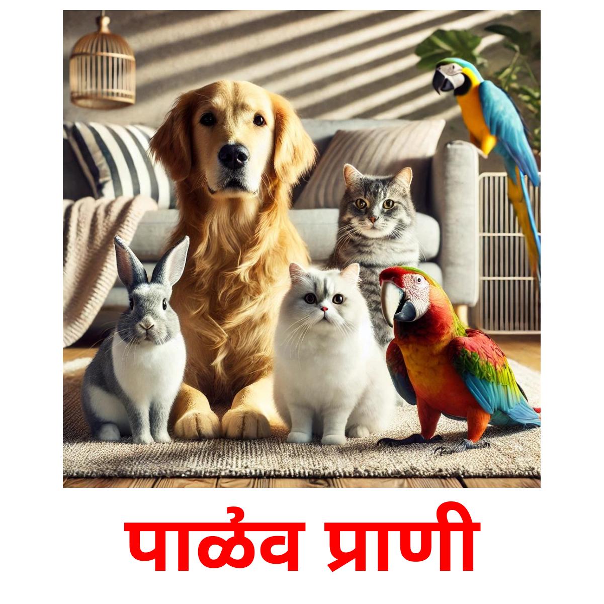 11 Printable Domestic animals Flashcards in Marathi (Free PDF)