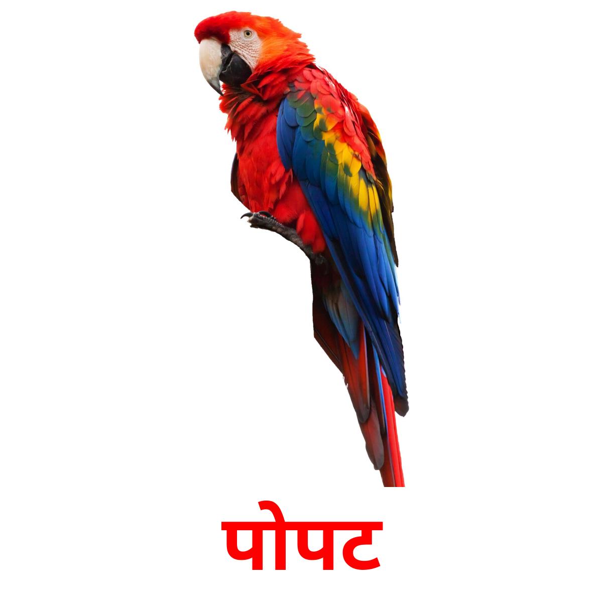 11 Printable Domestic animals Flashcards in Marathi (Free PDF)