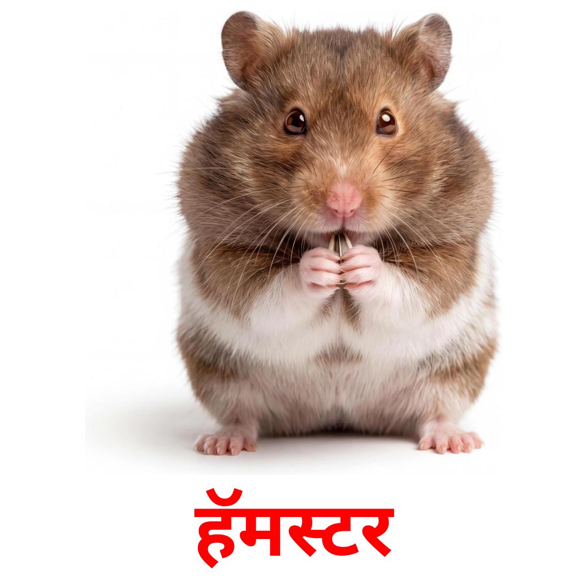 11 Printable Domestic animals Flashcards in Marathi (Free PDF)