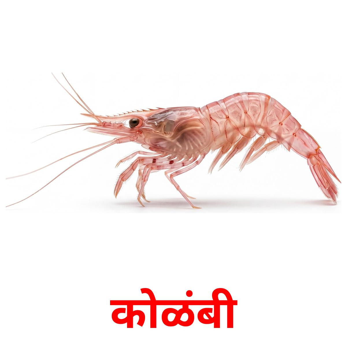 30 Printable Sea animals Flashcards in Marathi (Free PDF)