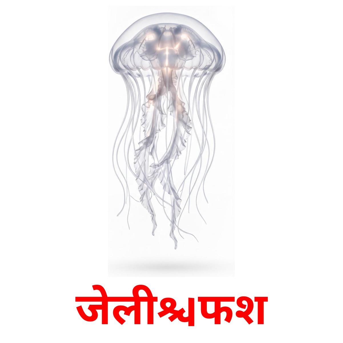 30 Printable Sea animals Flashcards in Marathi (Free PDF)