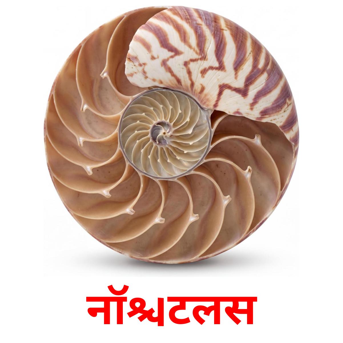 30 Printable Sea animals Flashcards in Marathi (Free PDF)