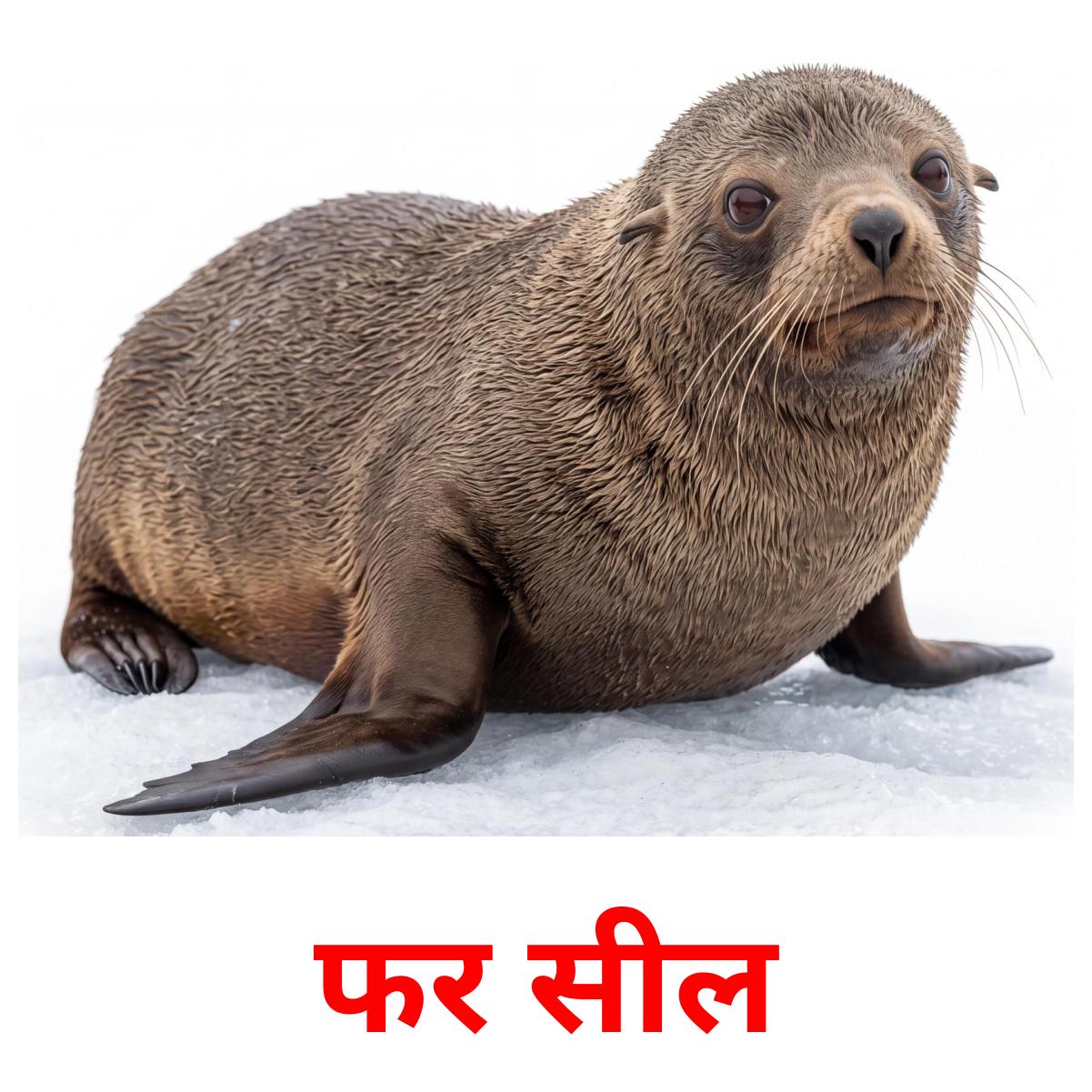 30 Printable Sea animals Flashcards in Marathi (Free PDF)