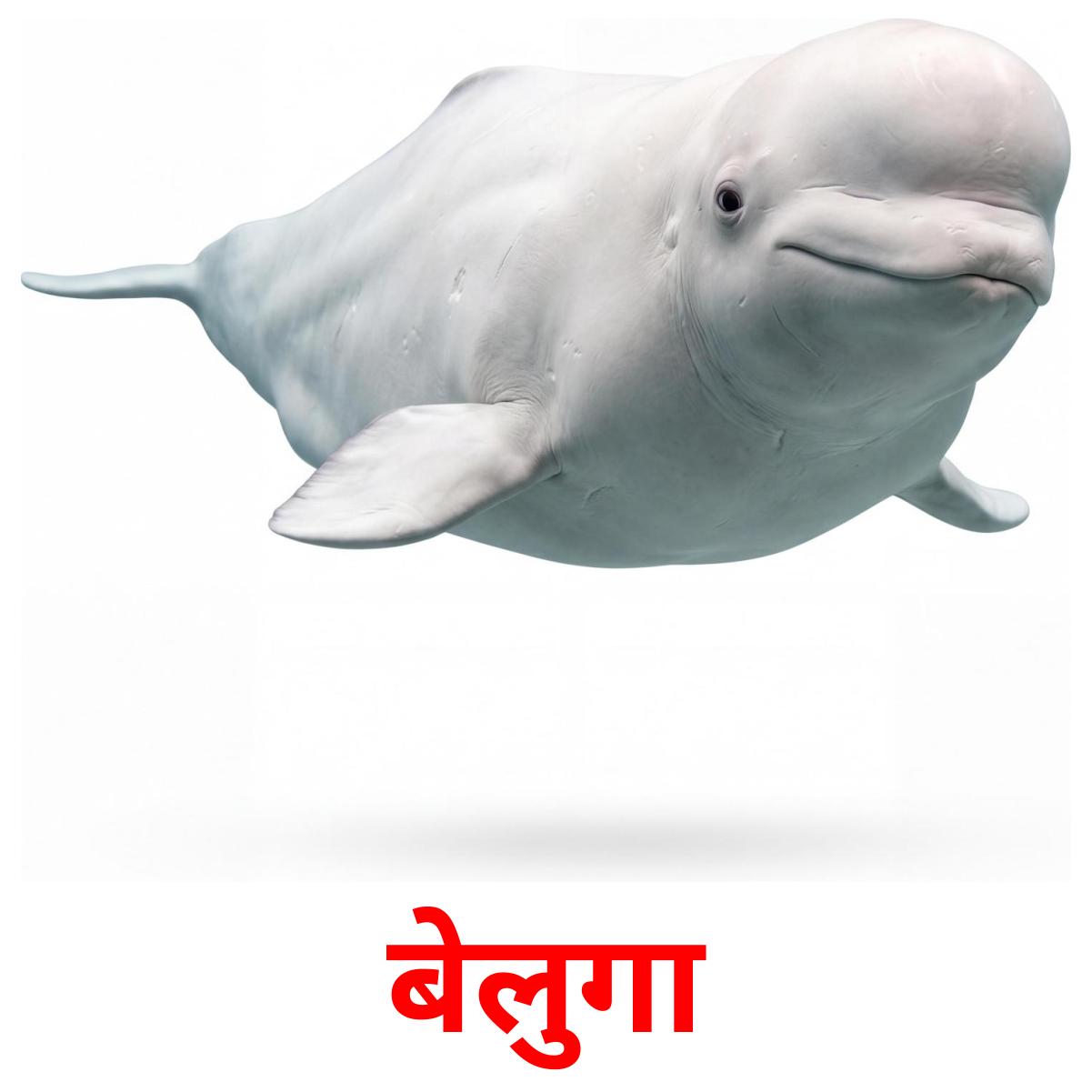 30 Printable Sea animals Flashcards in Marathi (Free PDF)
