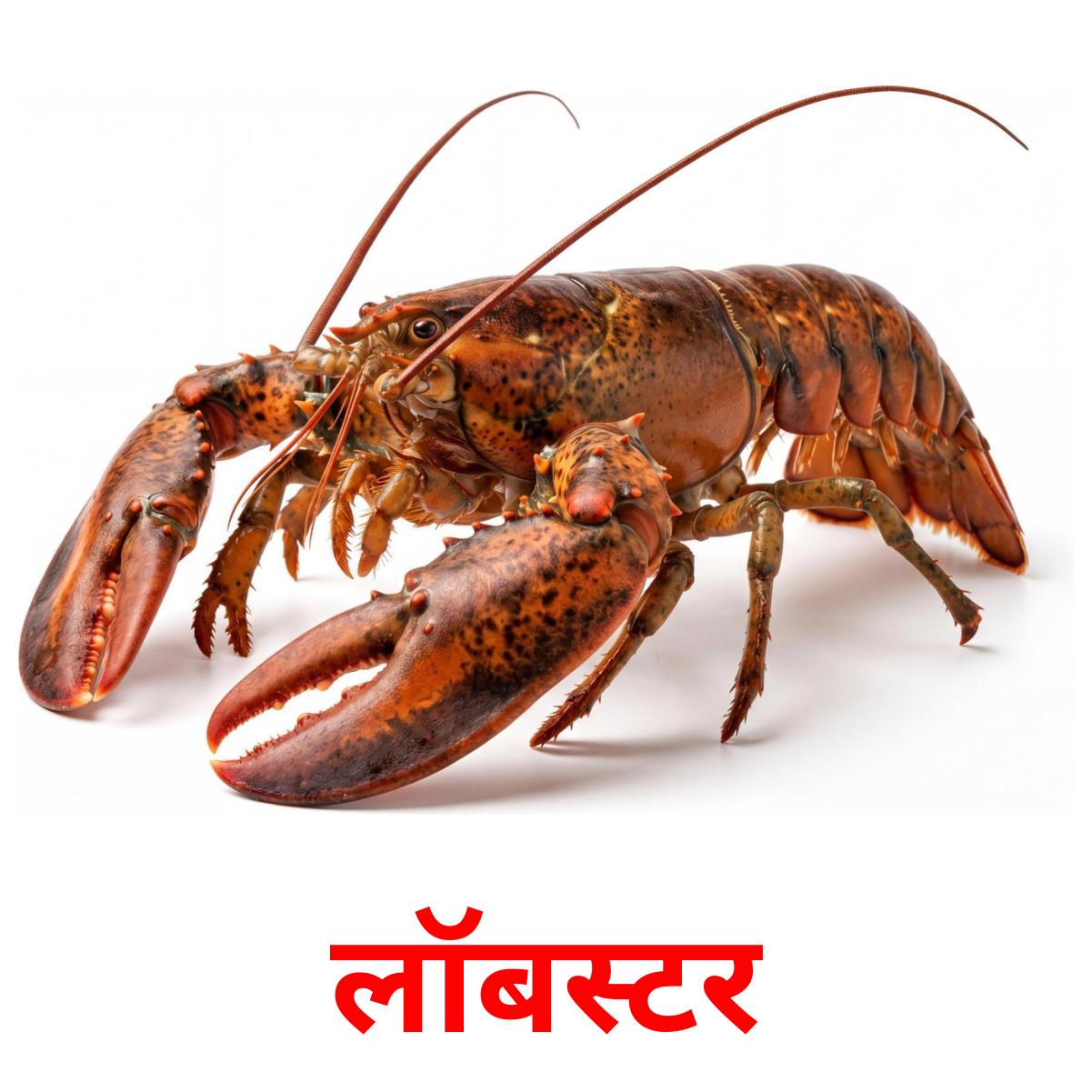 30 Printable Sea animals Flashcards in Marathi (Free PDF)