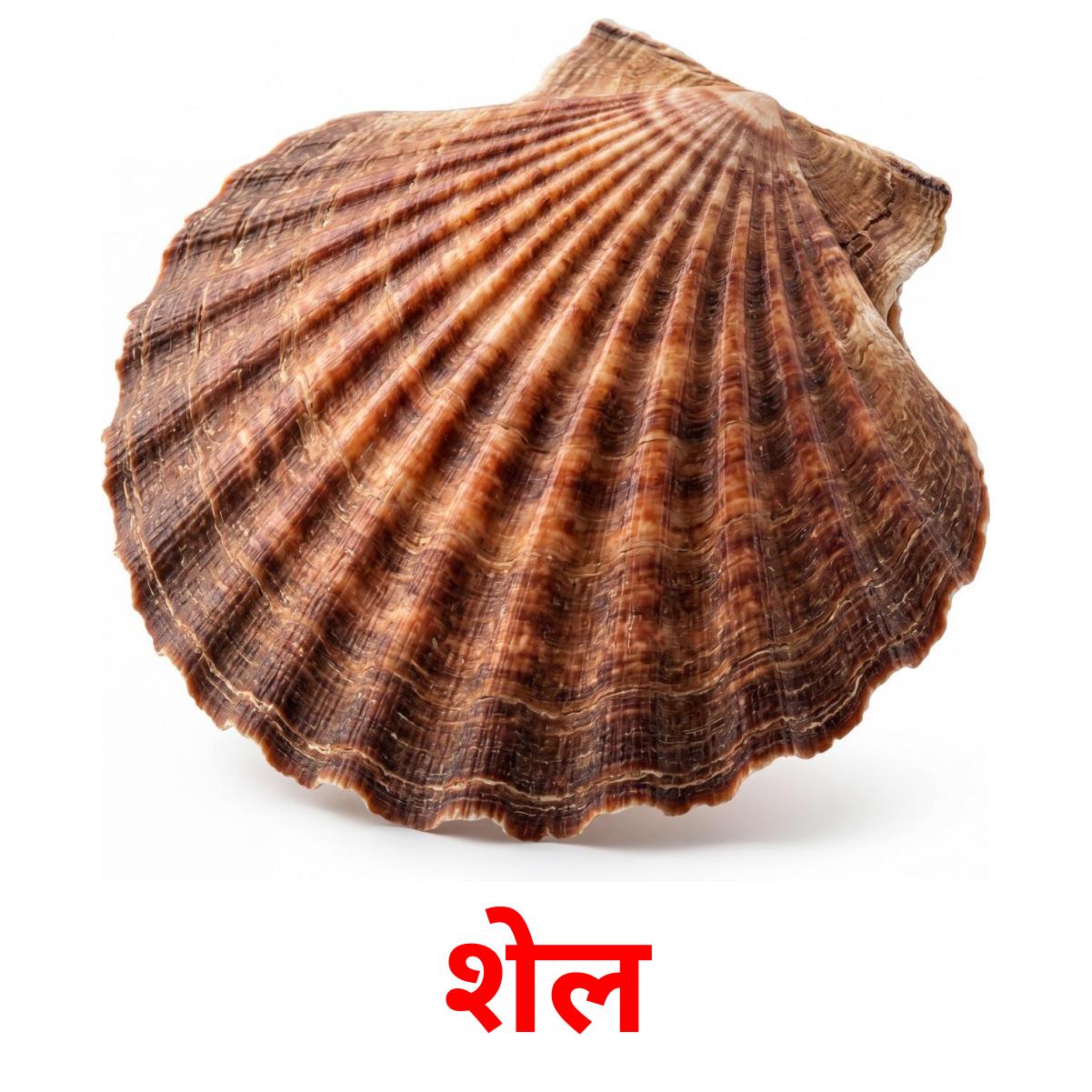 30 Printable Sea animals Flashcards in Marathi (Free PDF)