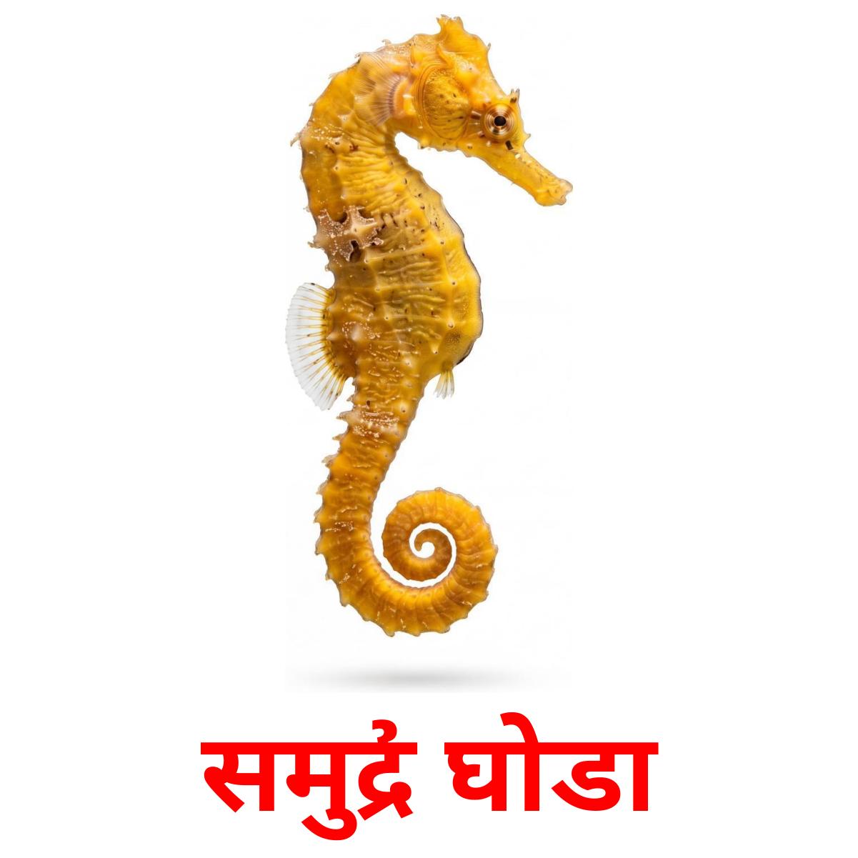 30 Printable Sea animals Flashcards in Marathi (Free PDF)