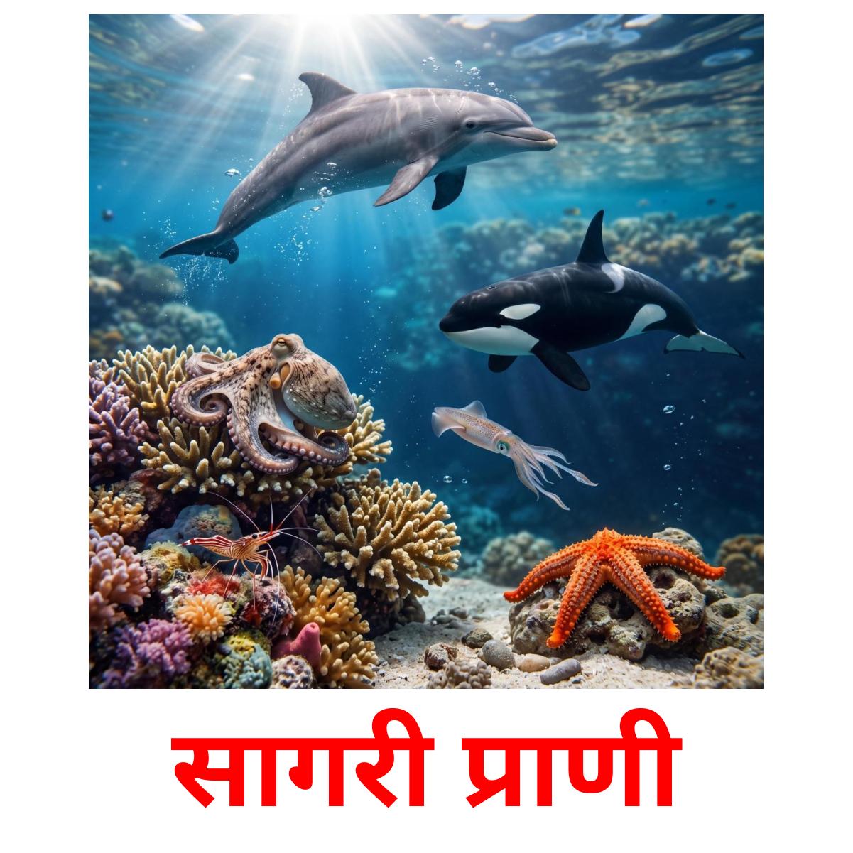 30 Printable Sea animals Flashcards in Marathi (Free PDF)