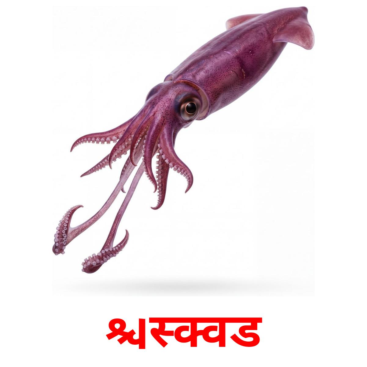 30 Printable Sea animals Flashcards in Marathi (Free PDF)
