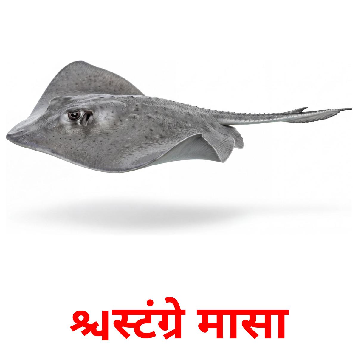 30 Printable Sea animals Flashcards in Marathi (Free PDF)