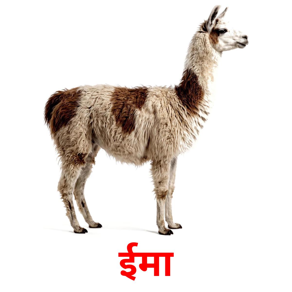 16 Printable Farm animals Flashcards in Marathi (Free PDF)