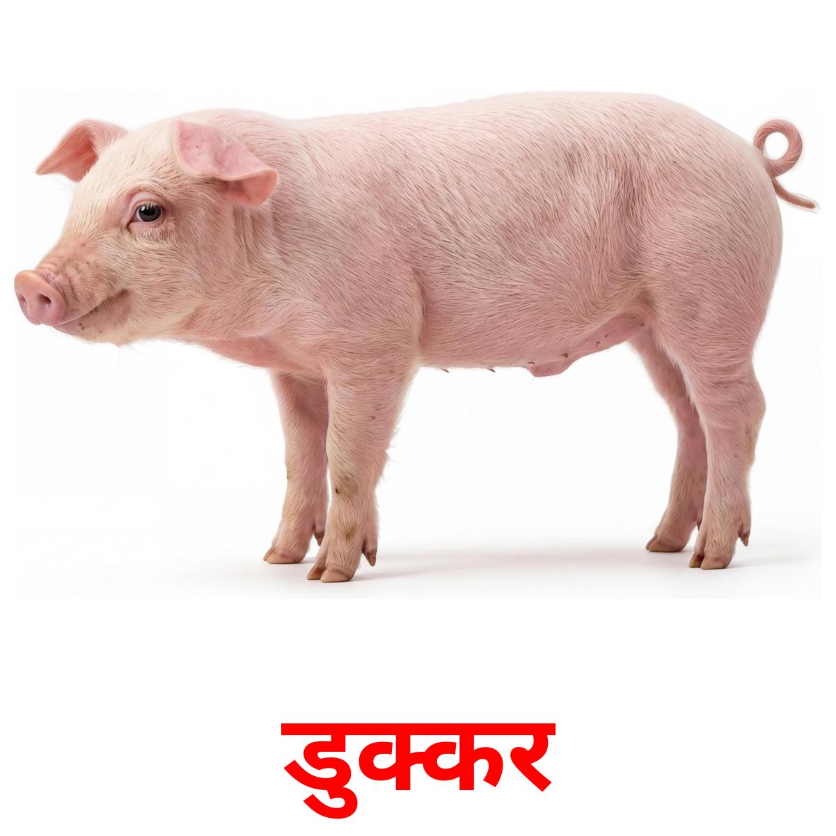 16 Printable Farm animals Flashcards in Marathi (Free PDF)