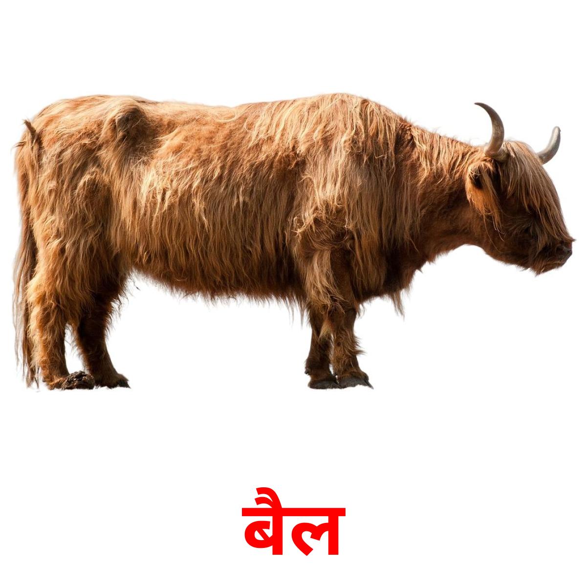 16 Printable Farm animals Flashcards in Marathi (Free PDF)