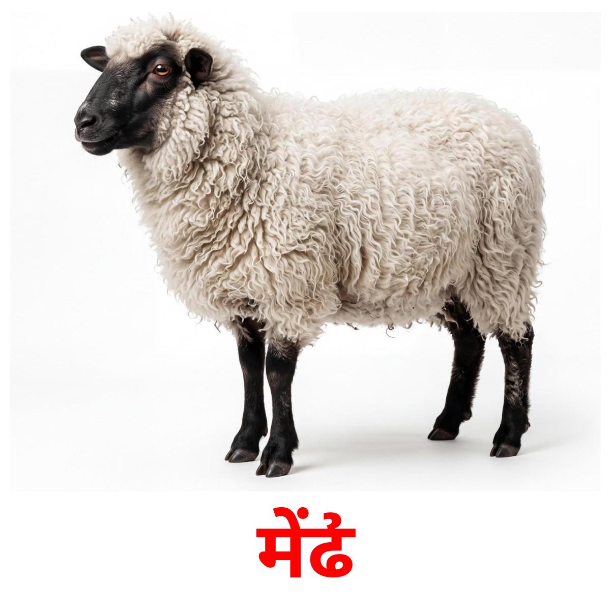 16 Printable Farm animals Flashcards in Marathi (Free PDF)
