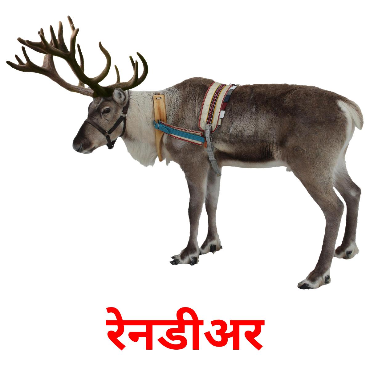 16 Printable Farm animals Flashcards in Marathi (Free PDF)