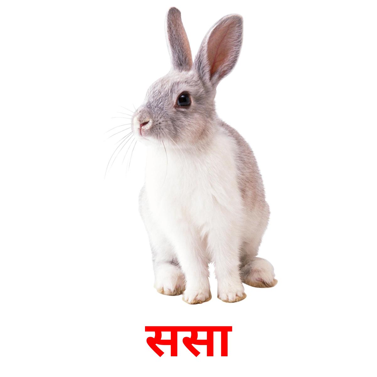 16 Printable Farm animals Flashcards in Marathi (Free PDF)