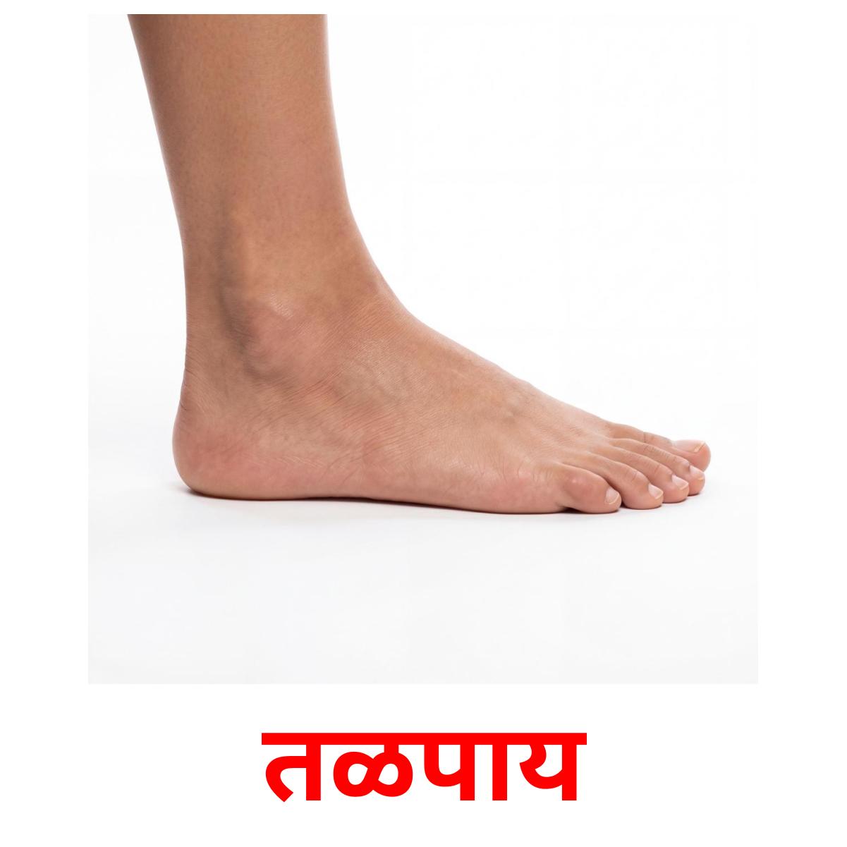 26 Printable Body Parts Flashcards in Marathi (Free PDF)