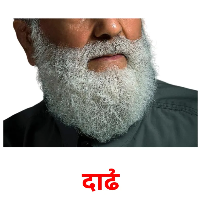 20 FREE Face Flashcards | PDF | Marathi Words