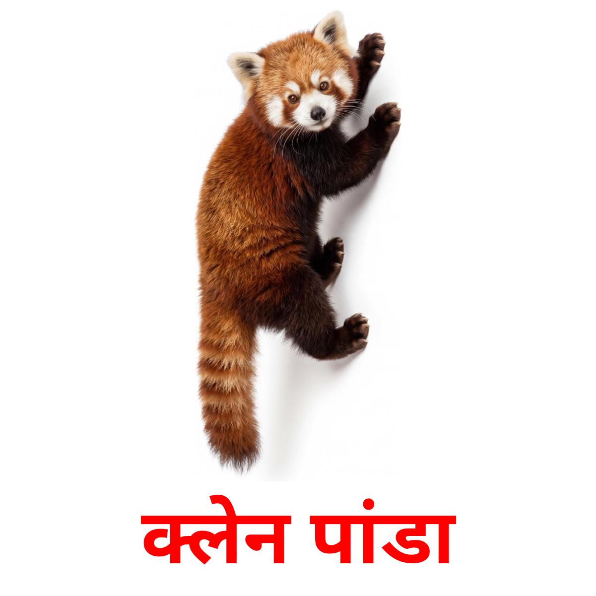 22 Printable Jungle animals Flashcards in Marathi (Free PDF)