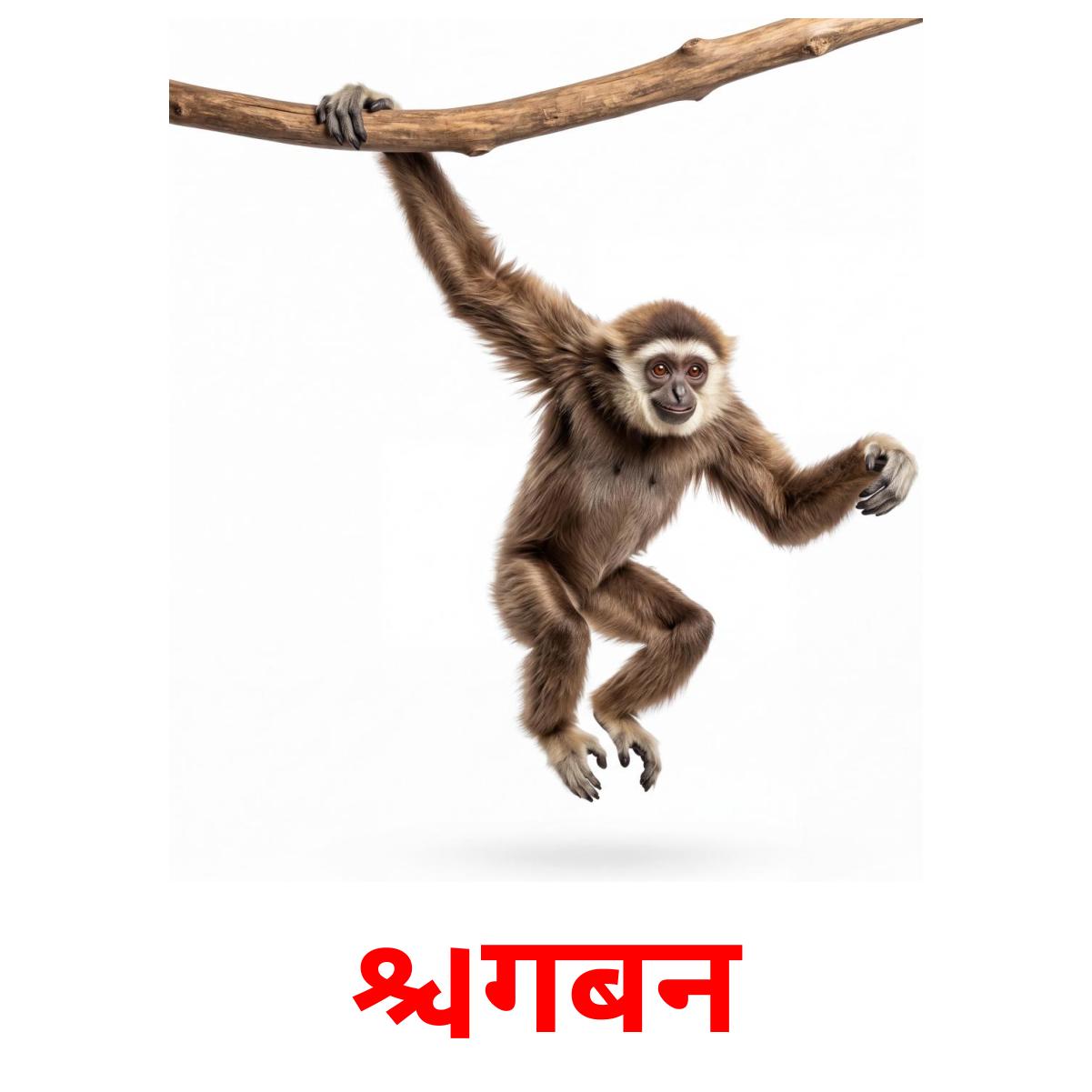 22 Printable Jungle animals Flashcards in Marathi (Free PDF)