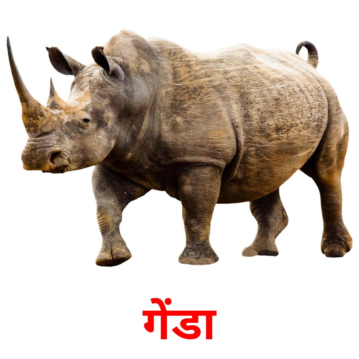 22 Printable Jungle animals Flashcards in Marathi (Free PDF)