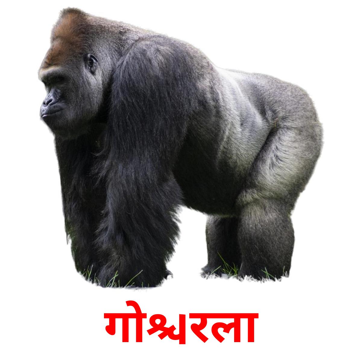 22 Printable Jungle animals Flashcards in Marathi (Free PDF)