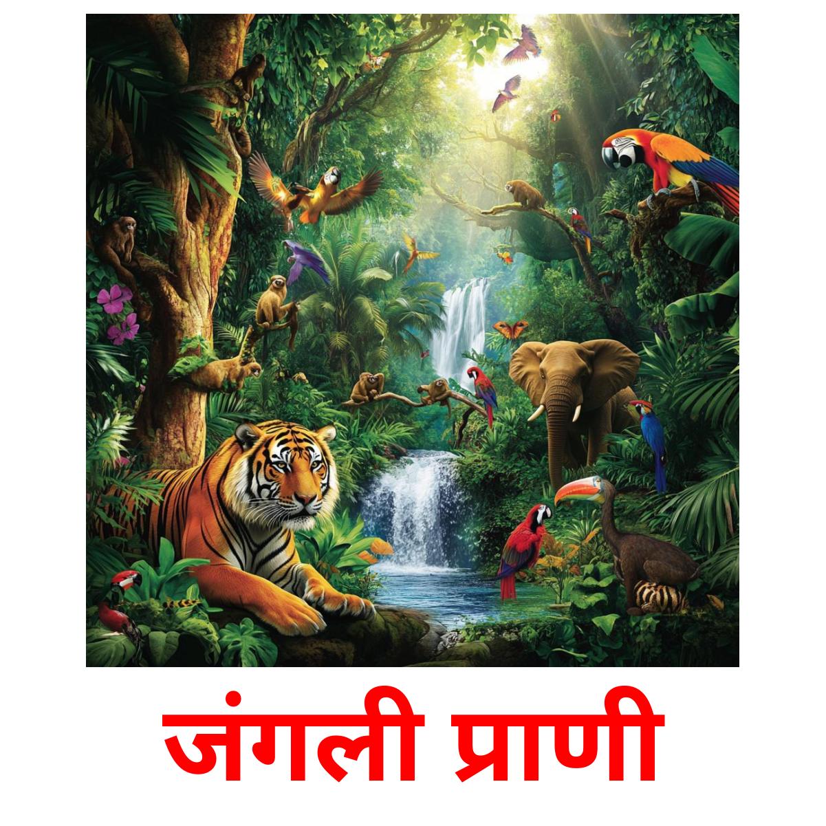 22 Printable Jungle animals Flashcards in Marathi (Free PDF)