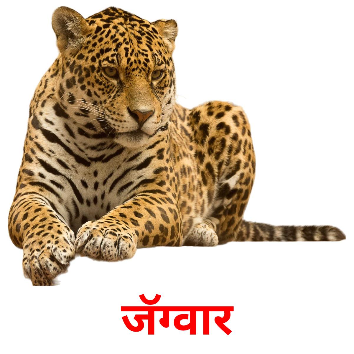 22 Printable Jungle animals Flashcards in Marathi (Free PDF)