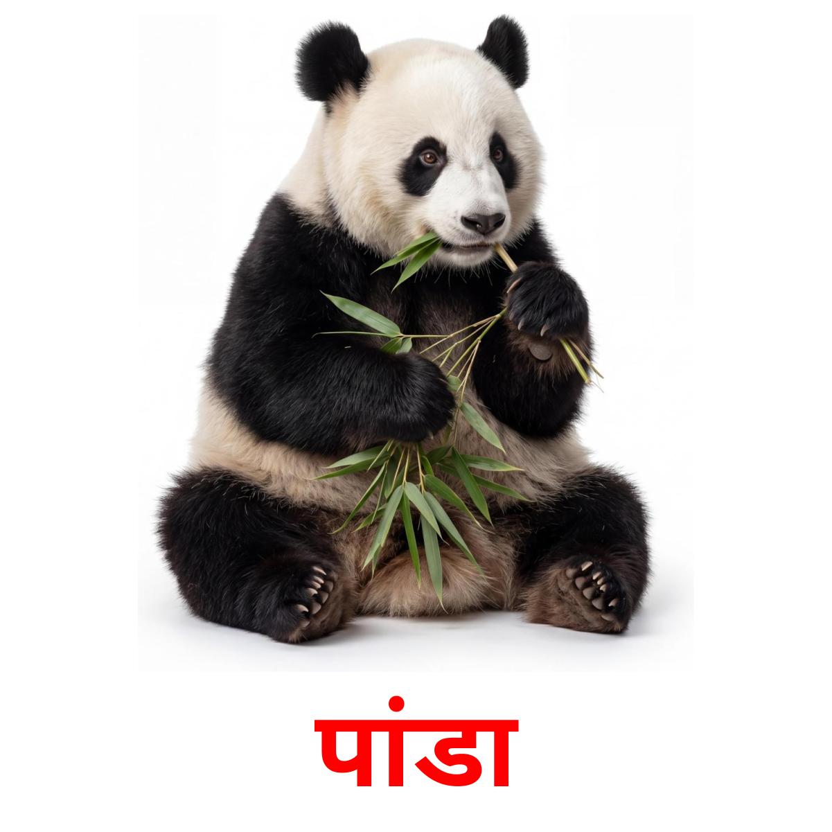22 Printable Jungle animals Flashcards in Marathi (Free PDF)