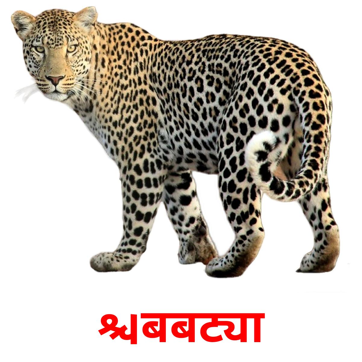 22 Printable Jungle animals Flashcards in Marathi (Free PDF)