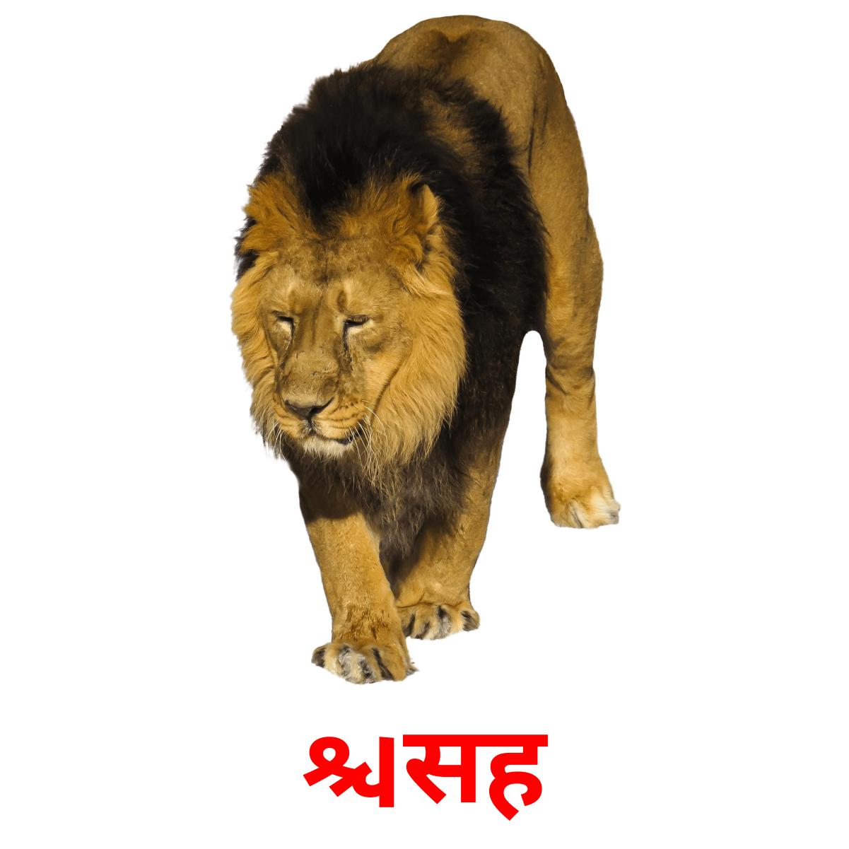 22 Printable Jungle animals Flashcards in Marathi (Free PDF)