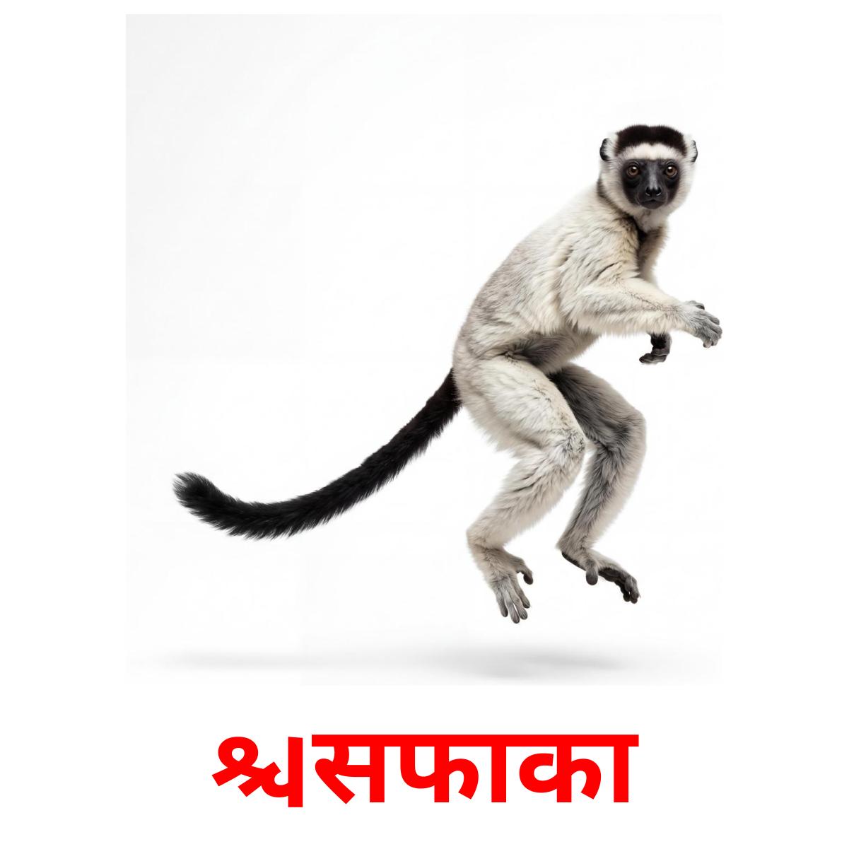 22 Printable Jungle animals Flashcards in Marathi (Free PDF)