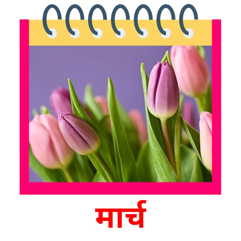 12 FREE Months of the Year Flashcards | PDF | Marathi Words