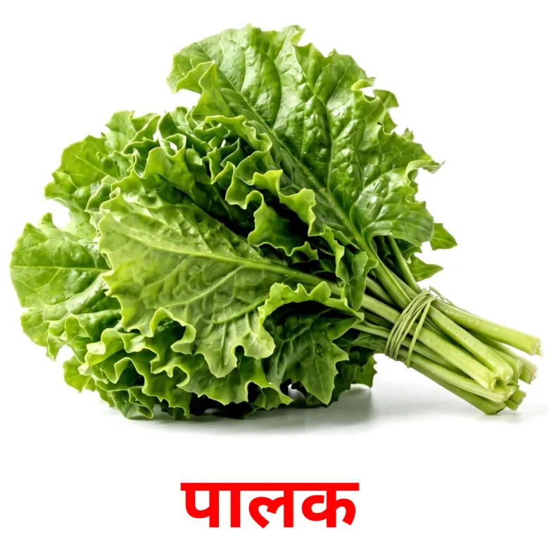 29 FREE Vegetables Flashcards | PDF | Marathi Words