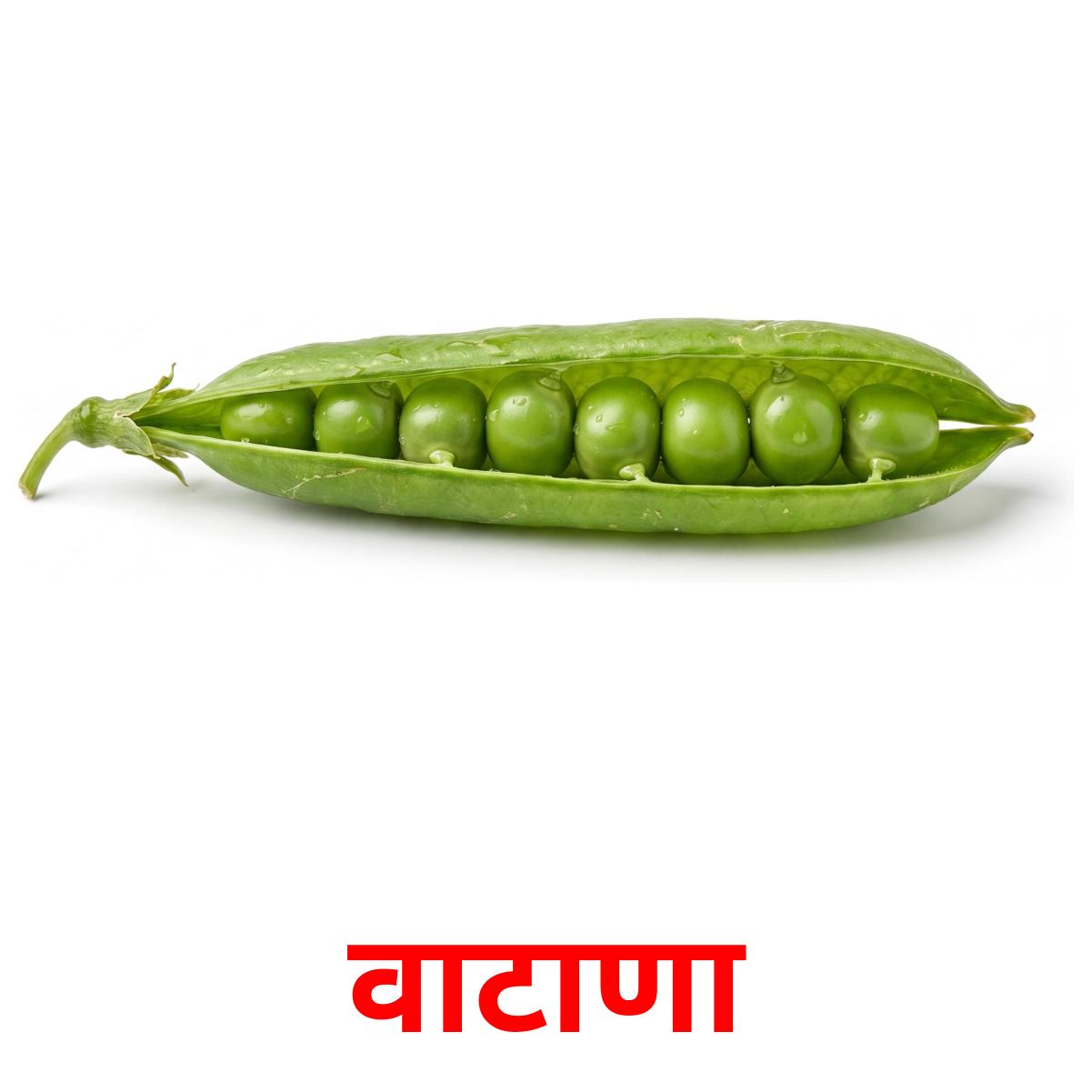 30 Printable Vegetables Flashcards in Marathi (Free PDF)