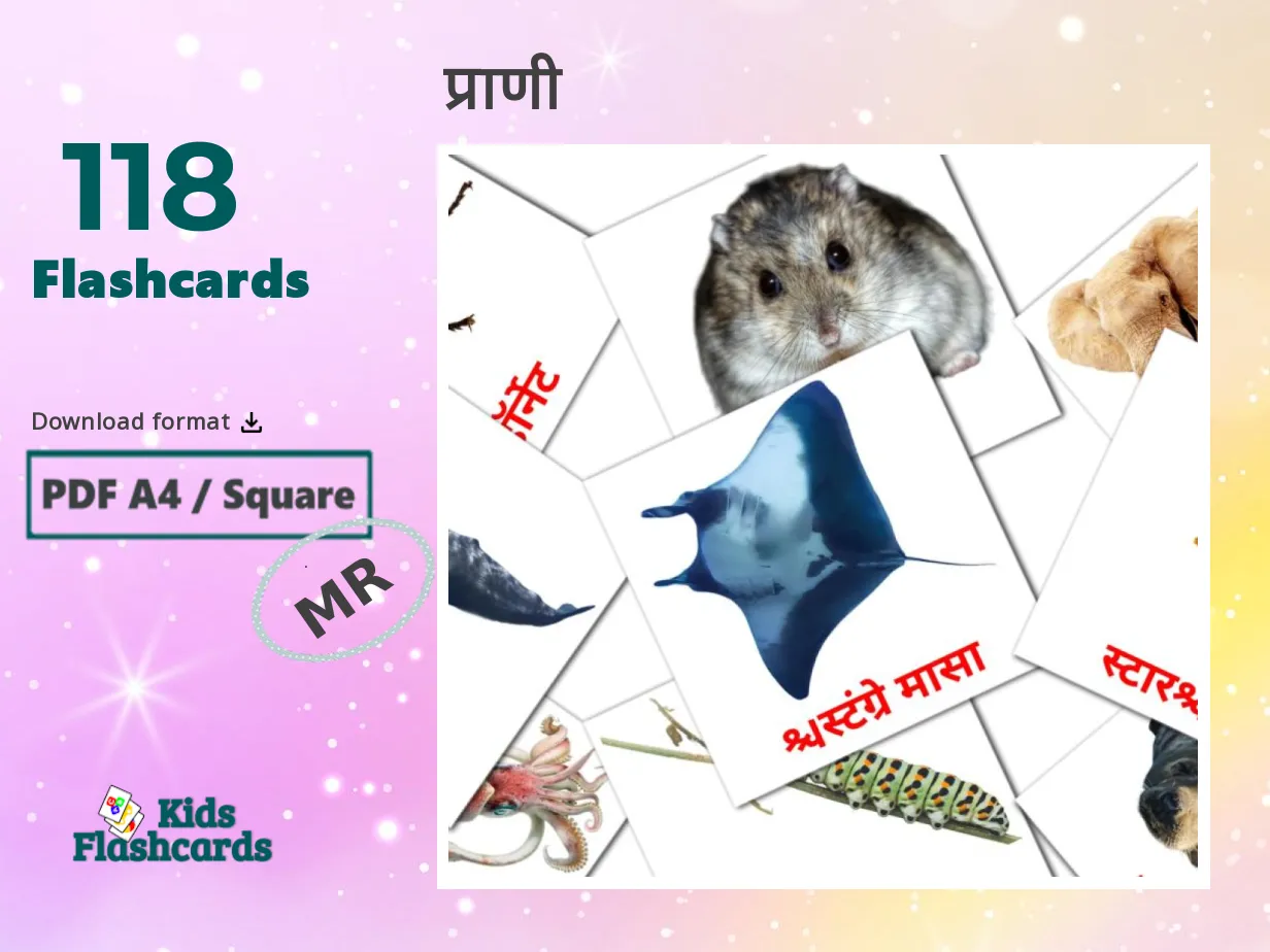 118 FREE Marathi Animals Flashcards | PDF