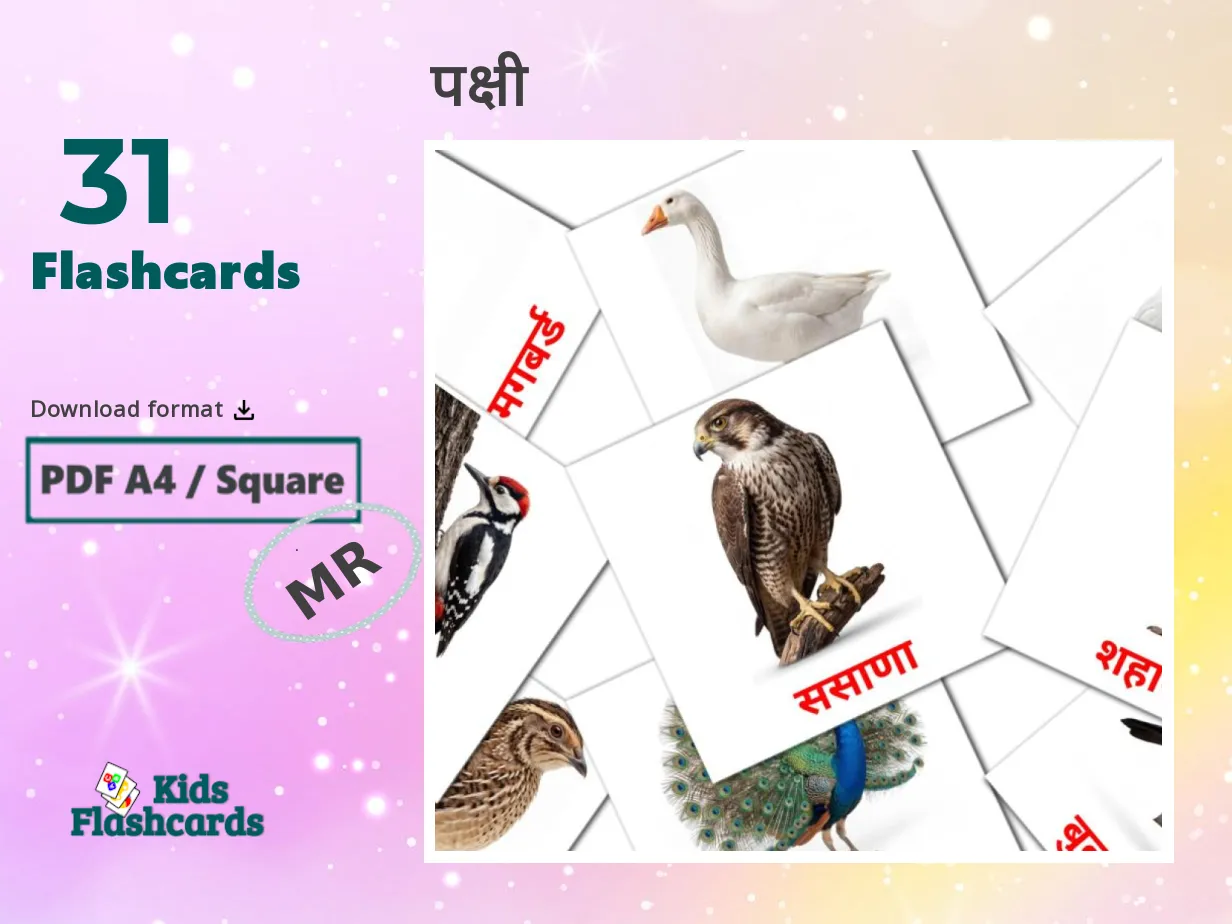 31 FREE Marathi Birds Flashcards | PDF